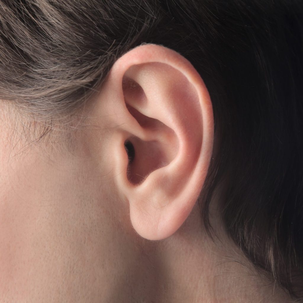 OREJAS | Clínica Estética XILUET